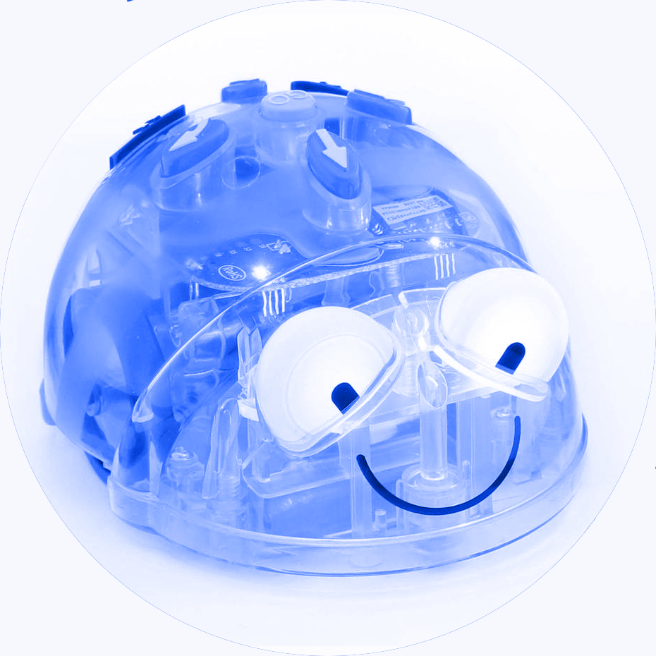 Les activités Bluebot sur le site FACILEACODER